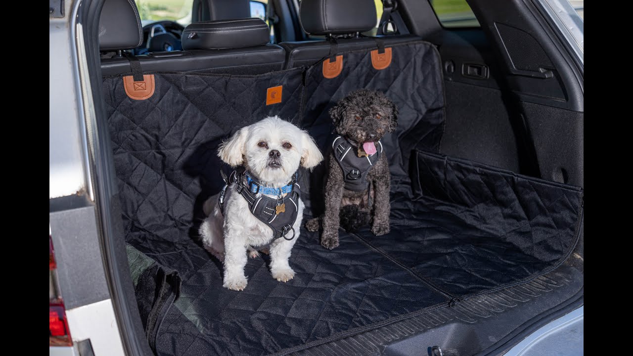 Mr. Doggo Car Seat Cover Install - YouTube