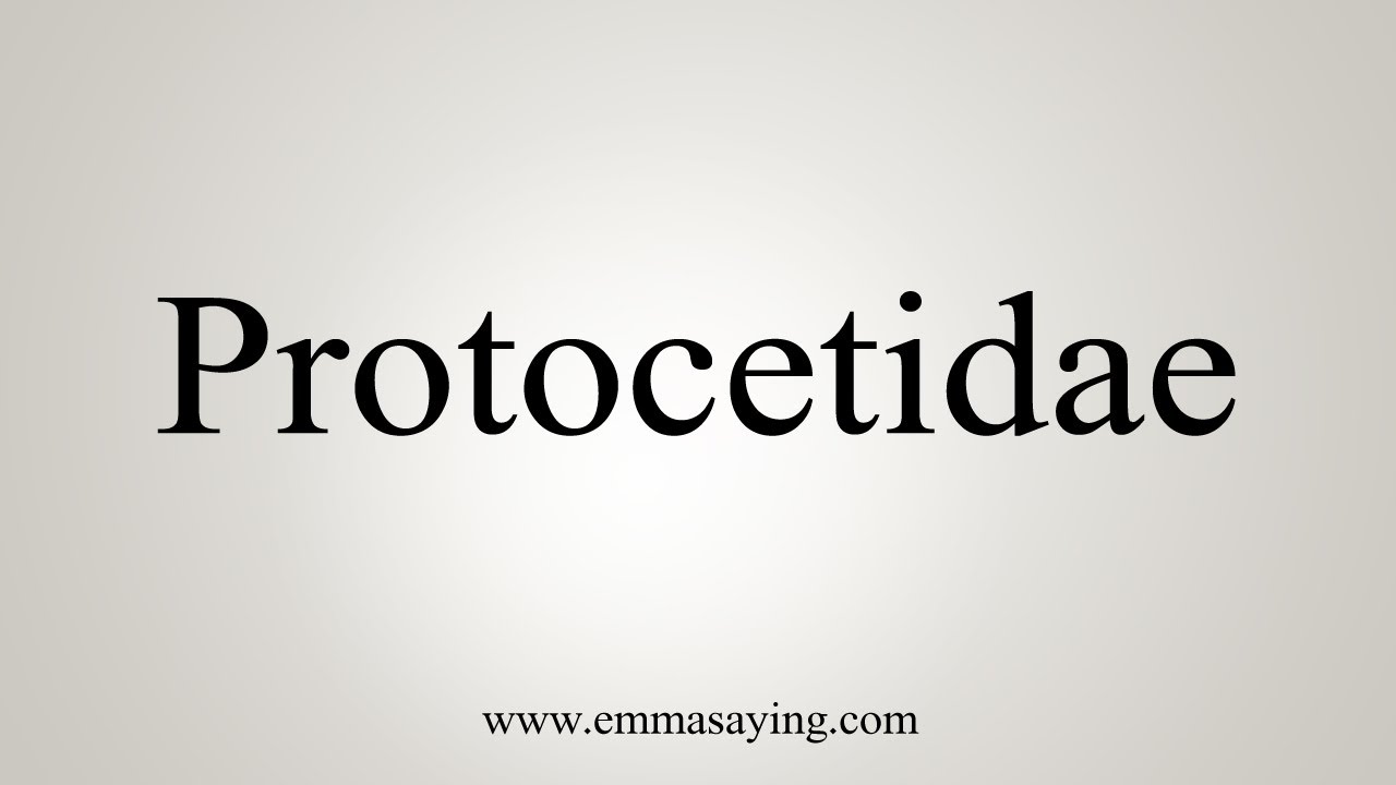How To Say Protocetidae - YouTube