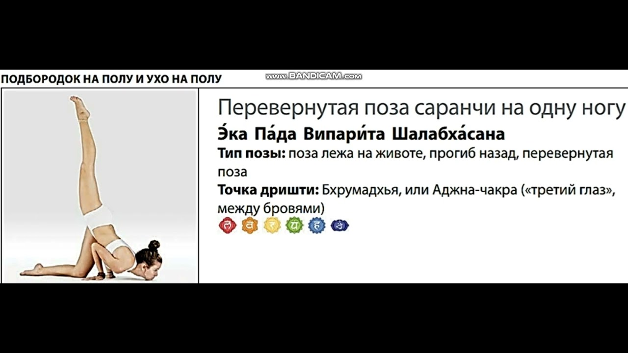 One-Legged Inverted Locust Pose - YouTube