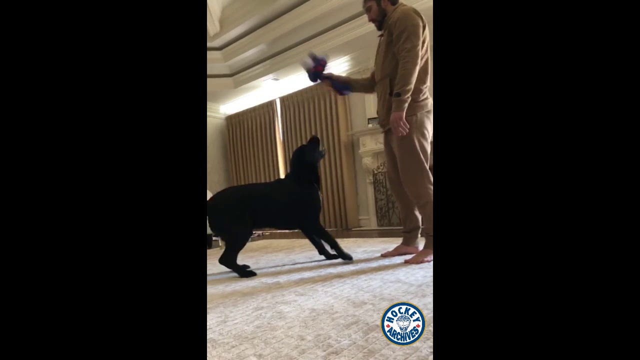 Alexander Ovechkin - with dog, at the mall with wife, ESPN interview ...