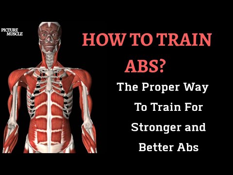 The Real Truth About Abs | HOW TO GET 6 PACK ABS - YouTube