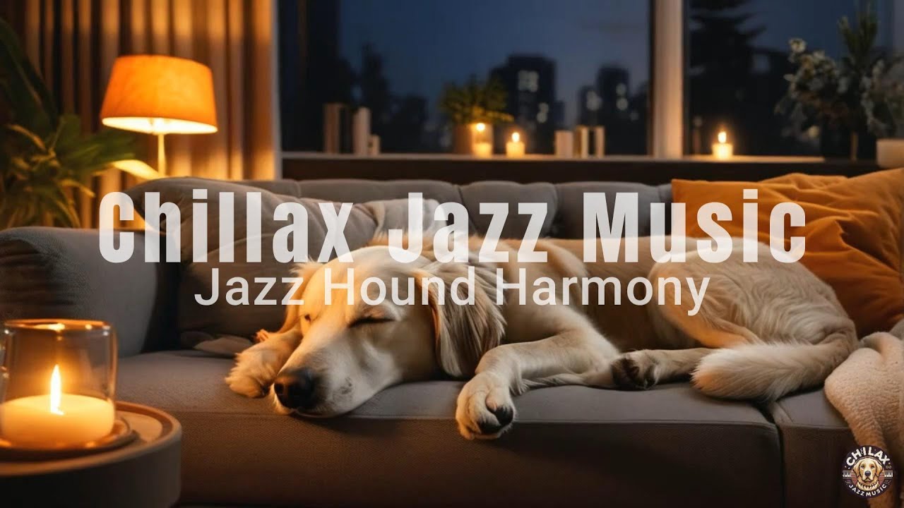 Jazz Hound Harmony 🎹 リラックスジャズ、犬、癒し、jazz music, jazz piano, chill music ...