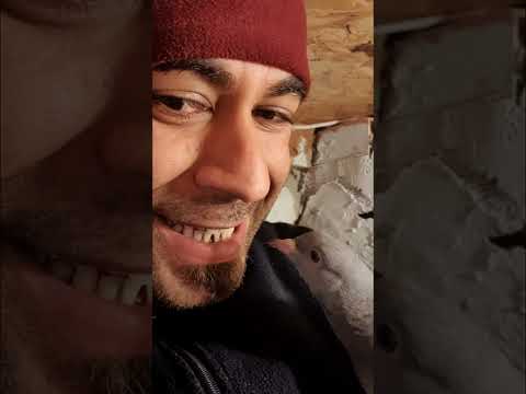 #ONLARDA CAN #HAYVAN SEVGİSİ  KISKANÇ YAVRUMUZ BENEKLI MAVİ