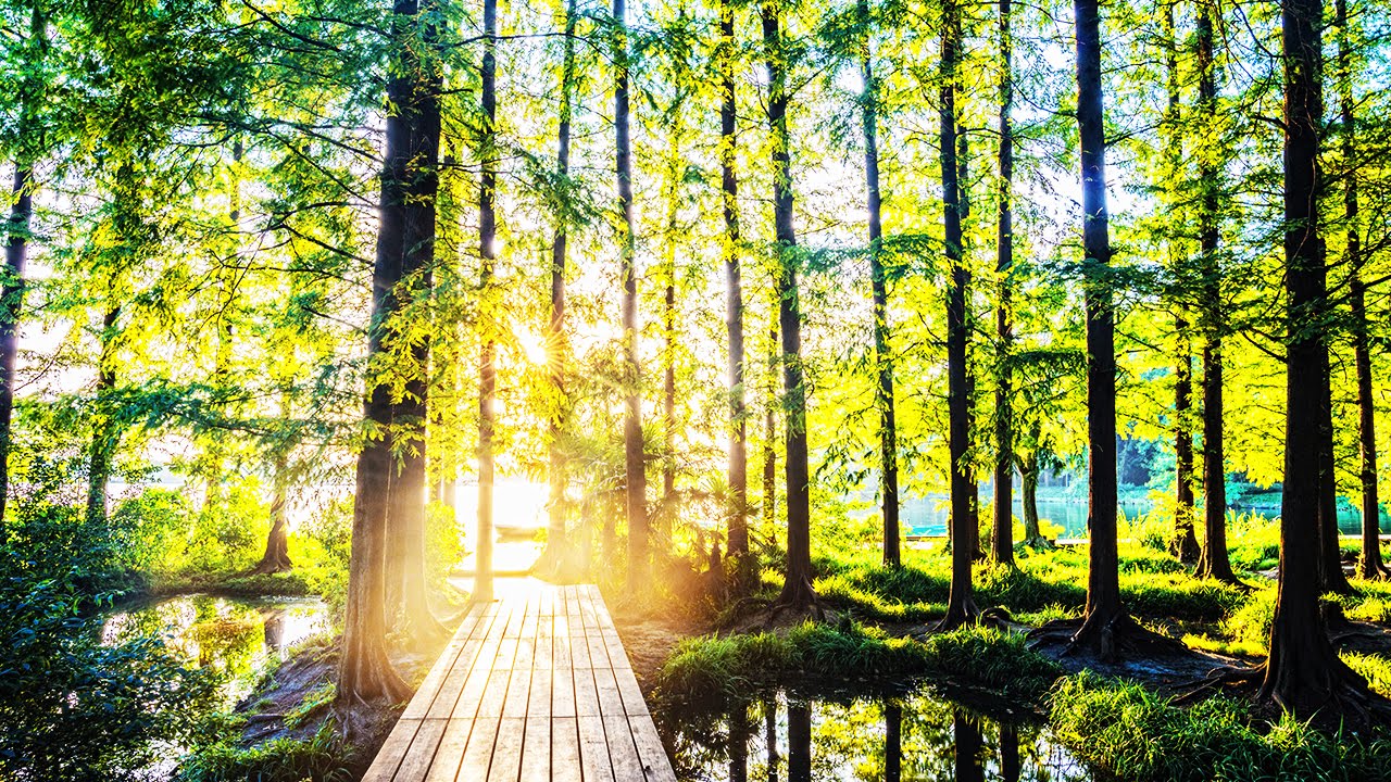 Relax 4 Hours - Relaxing Nature Sounds-Study-Sleep-Meditation-Water ...