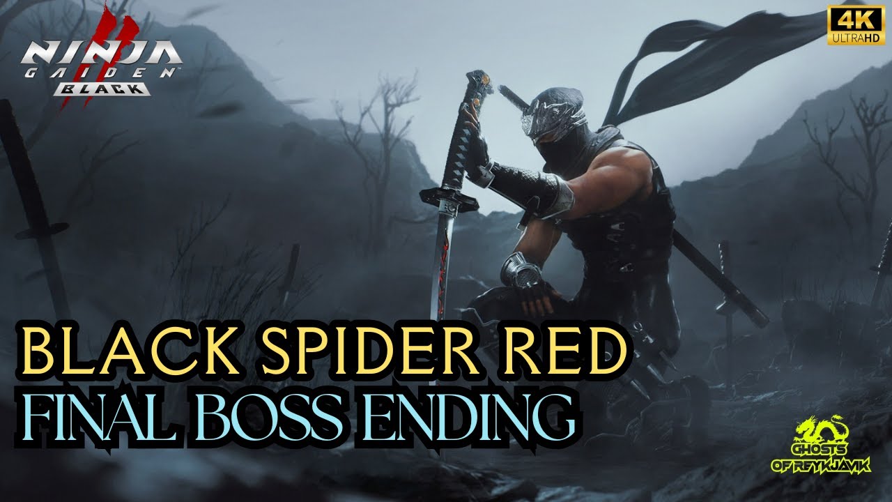 Black Spider Red - Boss Fight - Ninja Gaiden 2 Black - YouTube