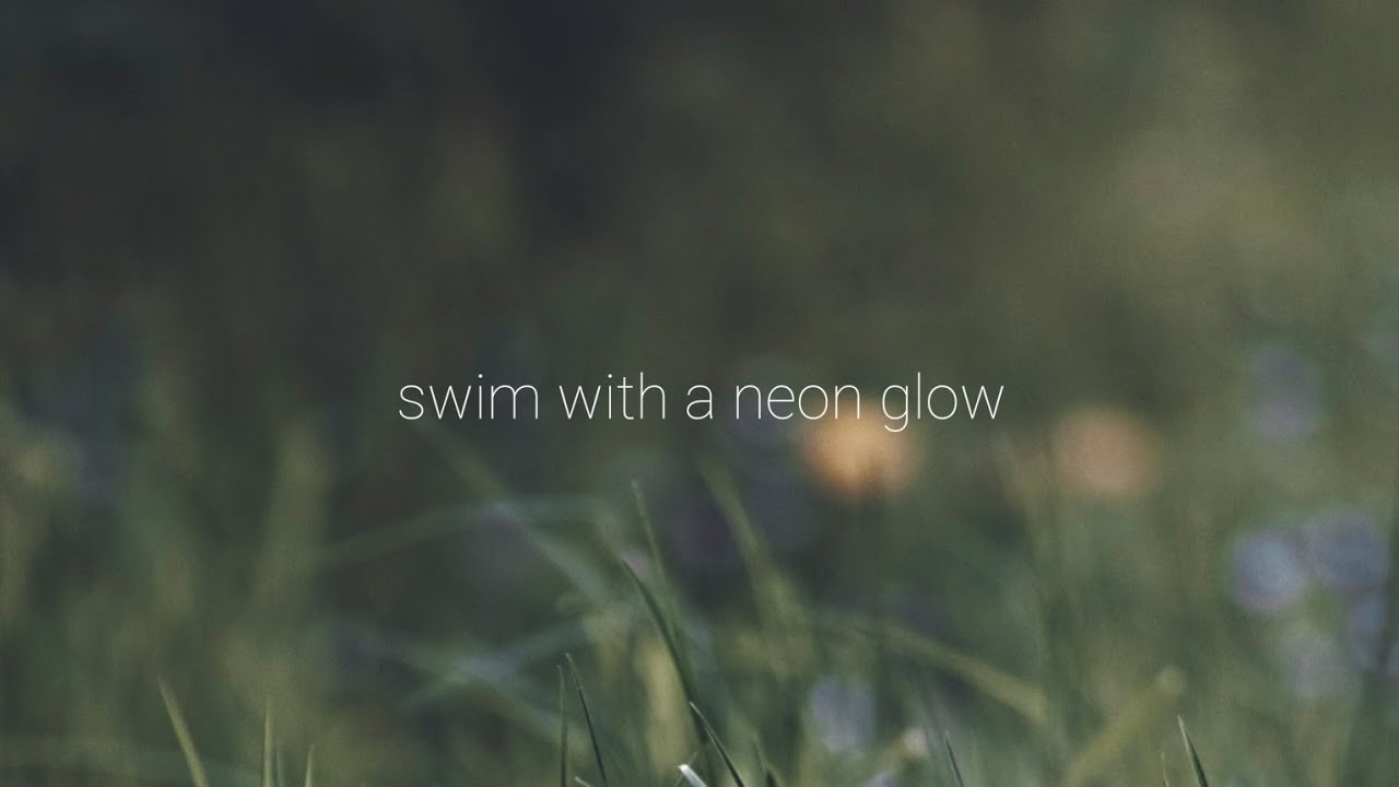 kacey musgraves - oh, what a world (lyrics) - YouTube
