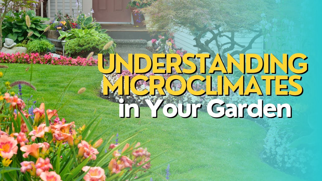 Understanding Microclimates in Your Garden - YouTube