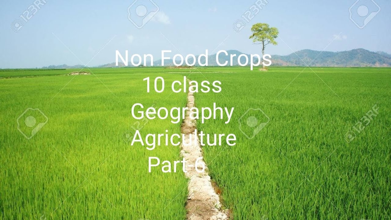 Non Food Crops 10 Class Geography Agriculture Part-6 - YouTube
