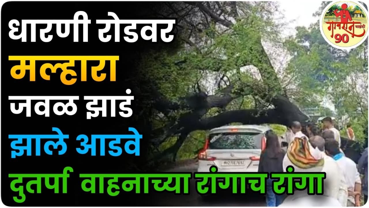 Paratwada Fast Update : परतवाडा धारणी महामार्गावर झाड पडले.... #gavran ...