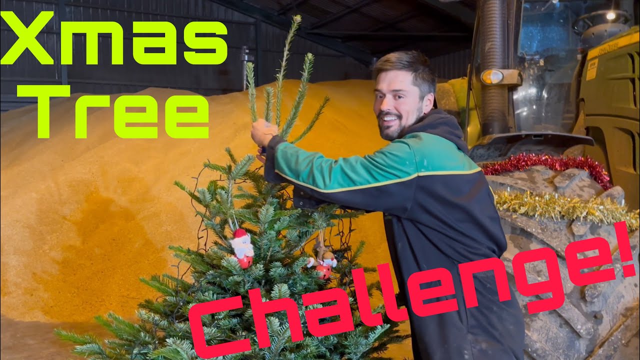 Christmas Tree Challenge! Can you Beat us? Who wins? - YouTube