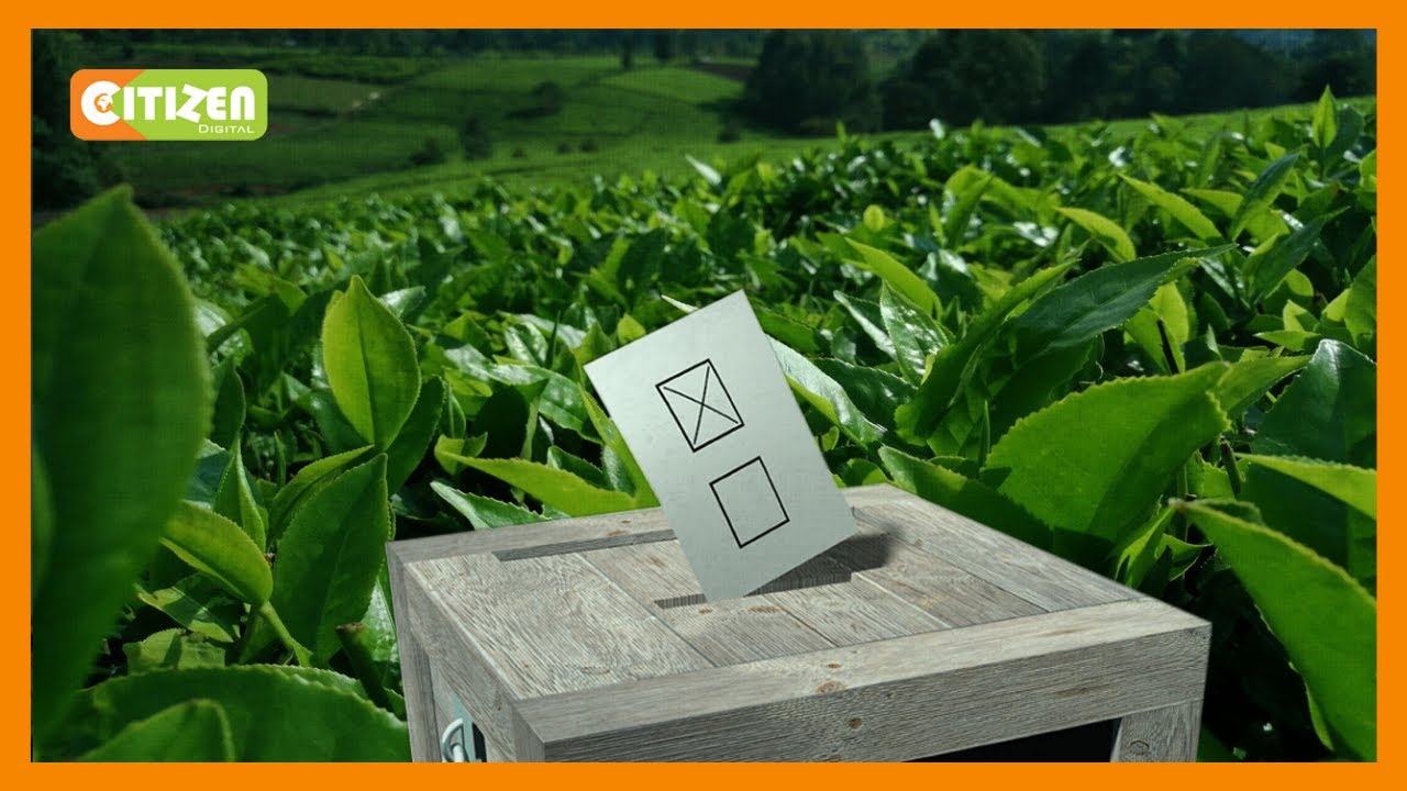 KTDA chairman Peter Kanyago removed as a director at Chinga Tea Factory ...