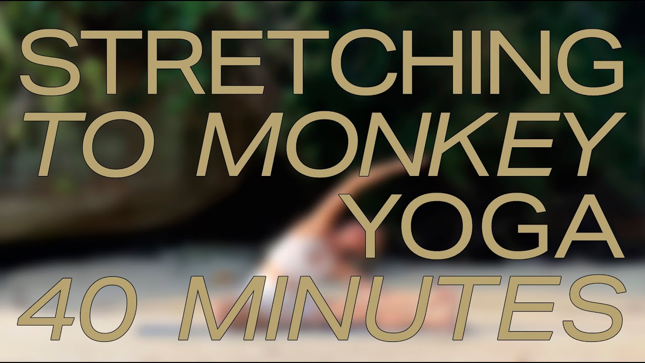 Stretching to Monkey Yoga Class – 40 Minutes – Beginner friendly - YouTube