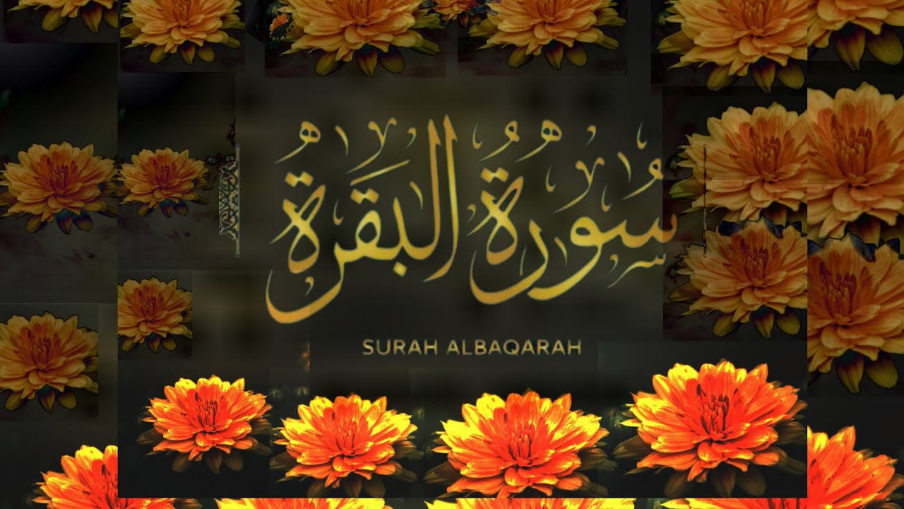 Beautiful islamic recitation ||Sorah Al Baqarahسورت البقرہ recitation ...