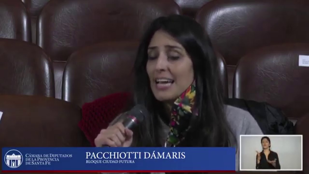 DIPUTADA PACCHIOTTI DAMARIS- SESIÓN ORDINARIA Nº2 - PERIODO 138 - 21/05 ...