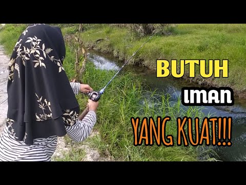 LUAR BINASAA!!! CEWE SIH,TAPI SKILNYA NGALAHIN LAKI LAKI || Ladies Angler Mancing Ikan Gabus