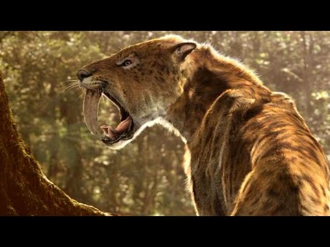 Smilodon - The Saber-Toothed Predator - YouTube