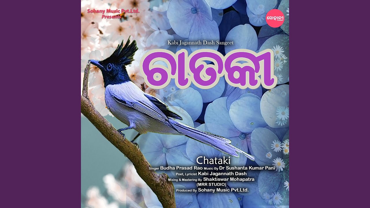 Chataki (Odia Song) - YouTube