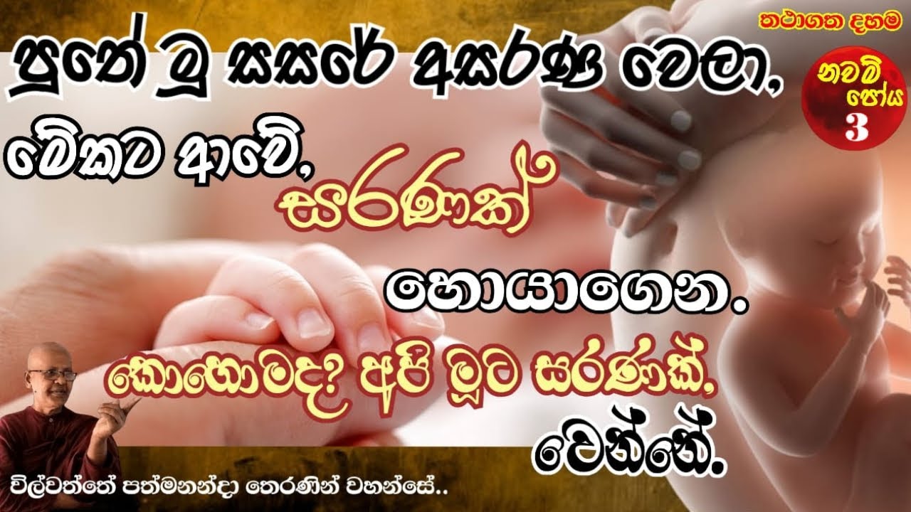 wilwaththe pathma theraniyo - YouTube