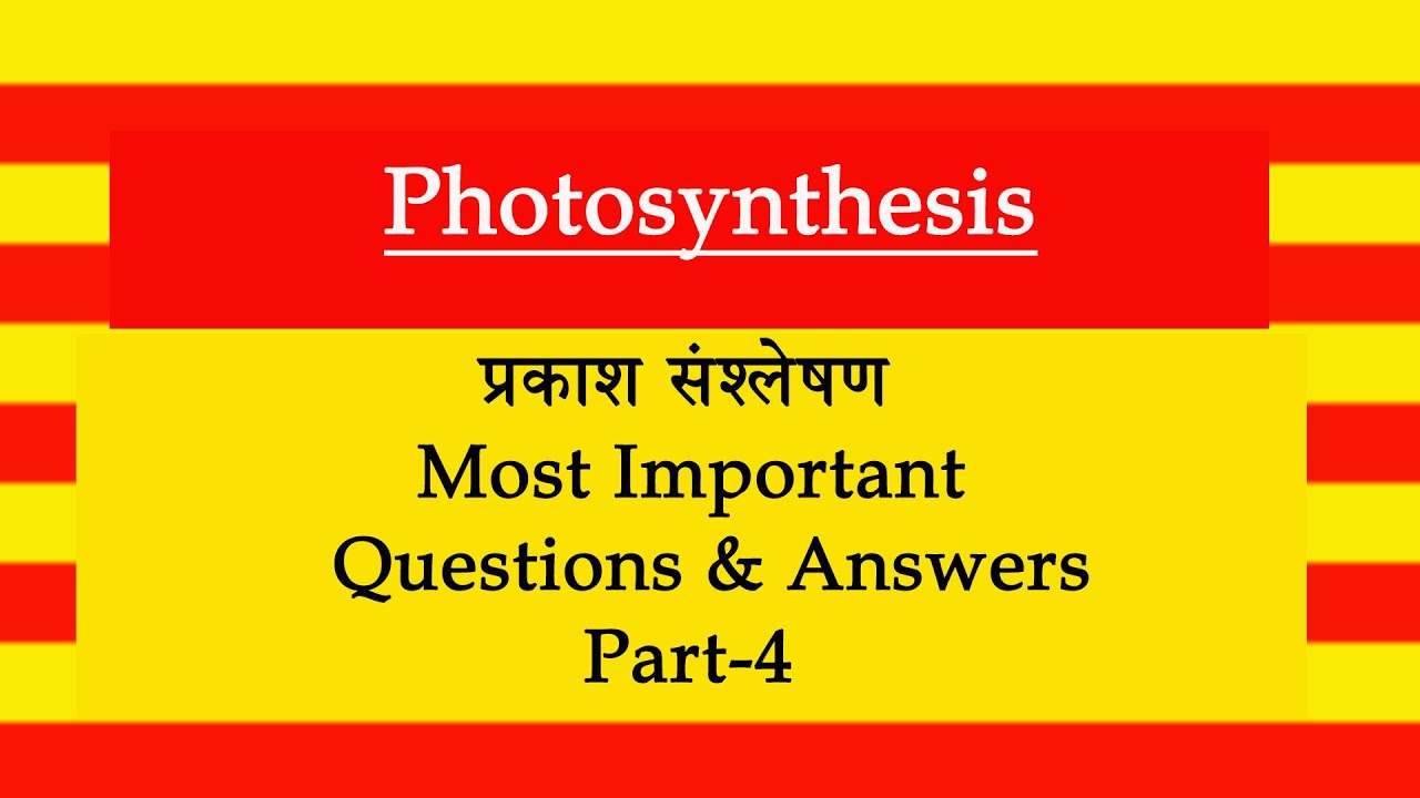 Photosynthesis MCQs l प्रकाश संश्लेषण l MCQs on Photosynthesis l Part 4 ...