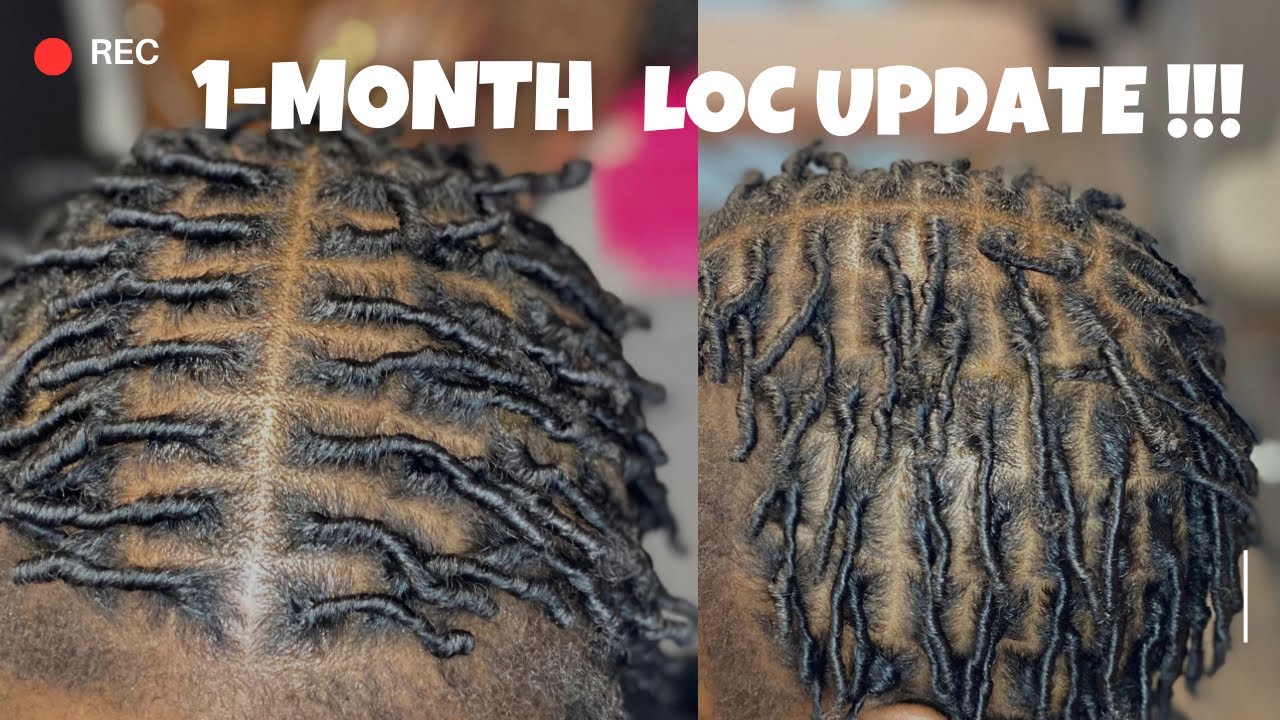 1 Month Loc Journey UPDATE! #starterlocs #locstyles #locjourney # ...
