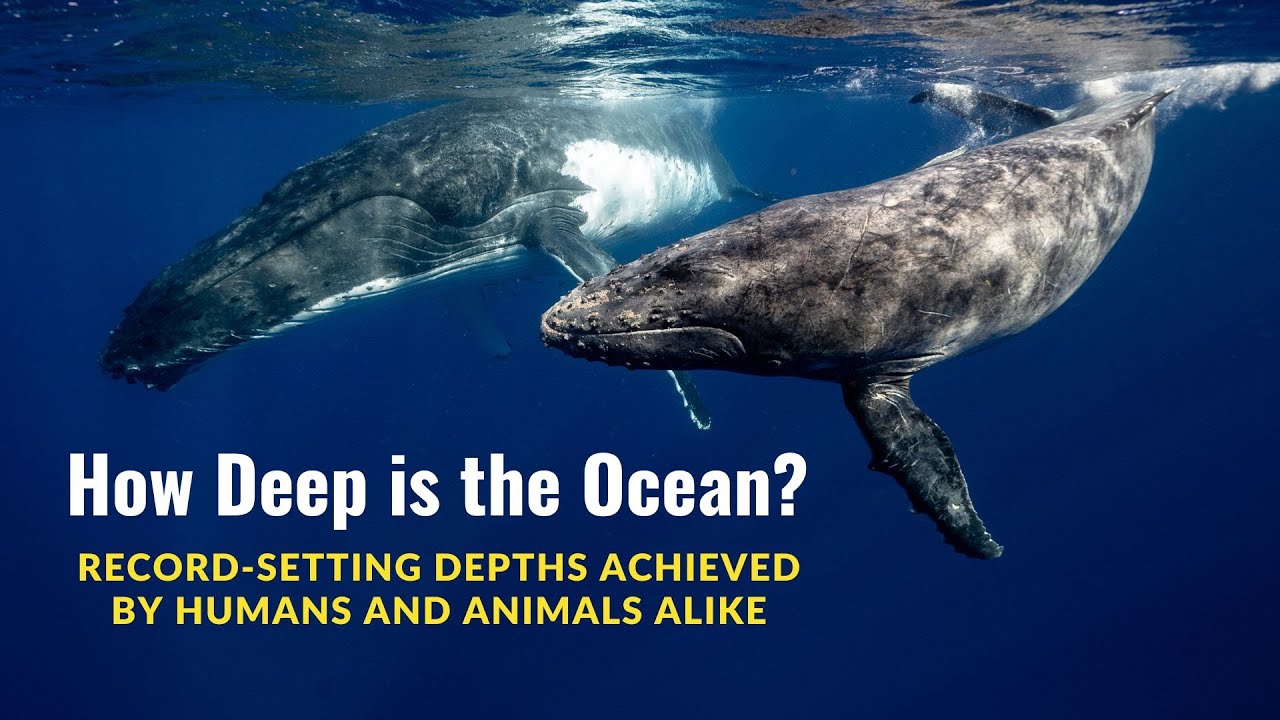 How Deep is the Ocean? Record-setting Depths Achieved by Humans and ...
