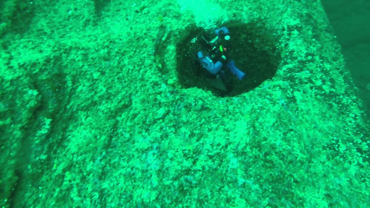 Diving in Saltstraumen - YouTube