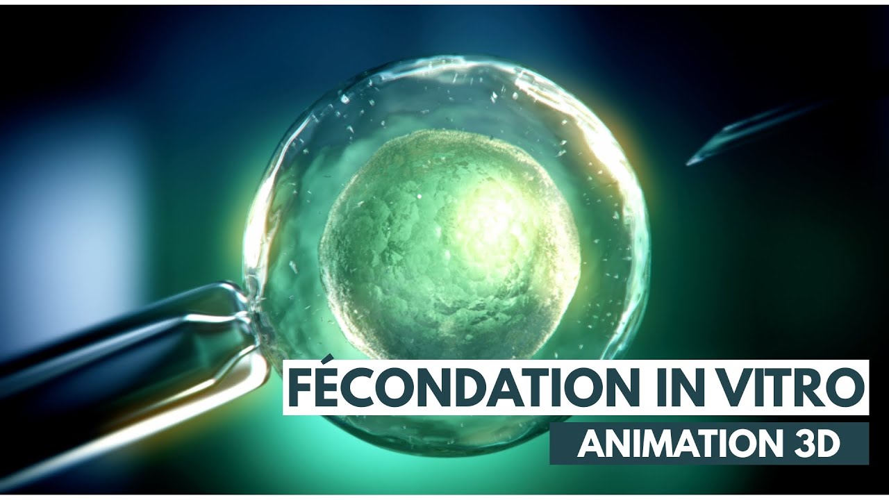 Fécondation In Vitro (FIV) - ICSI | Animation 3D - YouTube