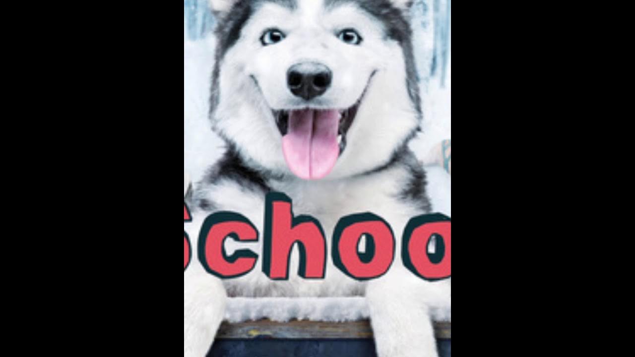 Sled Dog School- Terry Lynn Johnson - YouTube