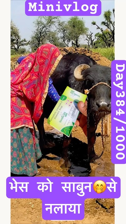 भेस साबुन🫣से \\ Minivlog \\ 384/1000 #dailyminivlog #newminivlog #shorts #vlog - YouTube