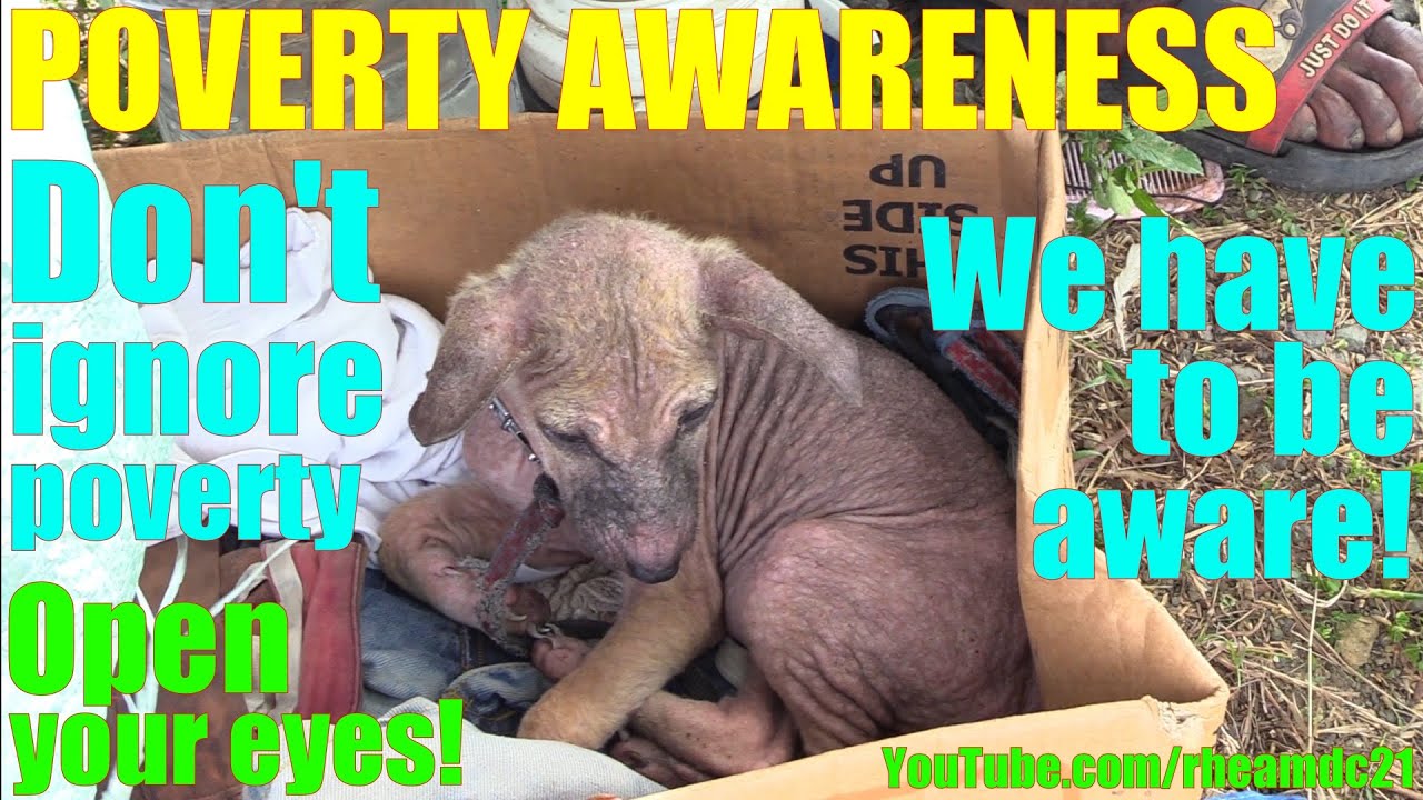 Please Someone Save this POOR DOG in the Philippines. This is Filipino ...