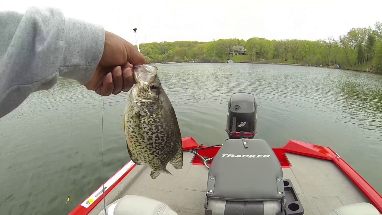 2018 Crappie Fishing Wisconsin (Pre Spawn) Rattle Bobber - YouTube