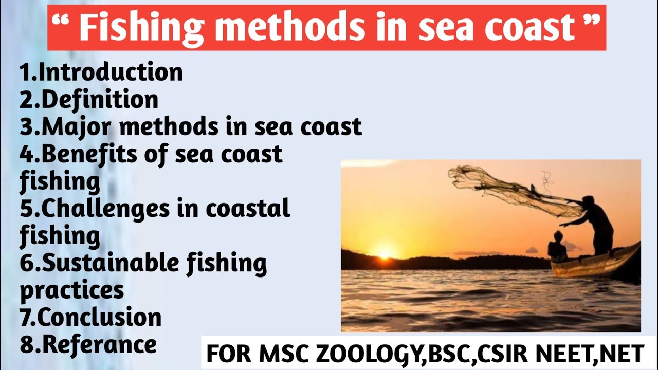 Fishing method sea coast | Major methods |Benefits | Challenges ...