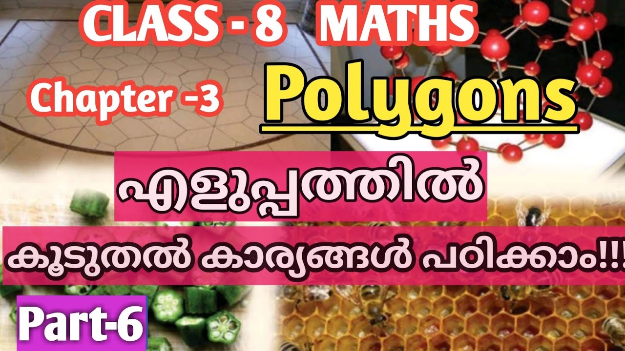 REGULAR POLYGON/CLASS 8 MATHS CHAPTER 3 POLYGON/REGULAR POLYGON ...