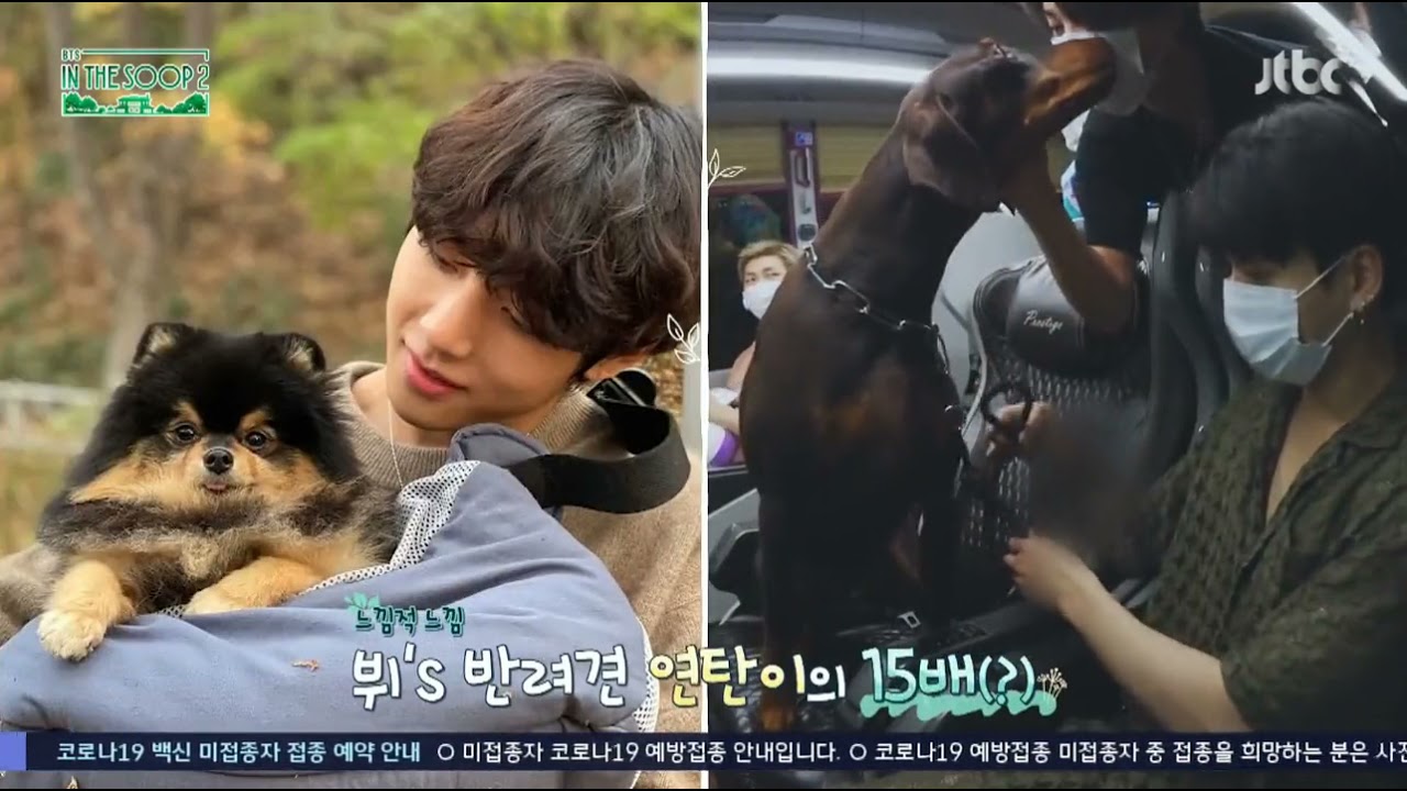 BTS Jungkook’s Doberman Jeon Bam debuting in In The Soop - YouTube