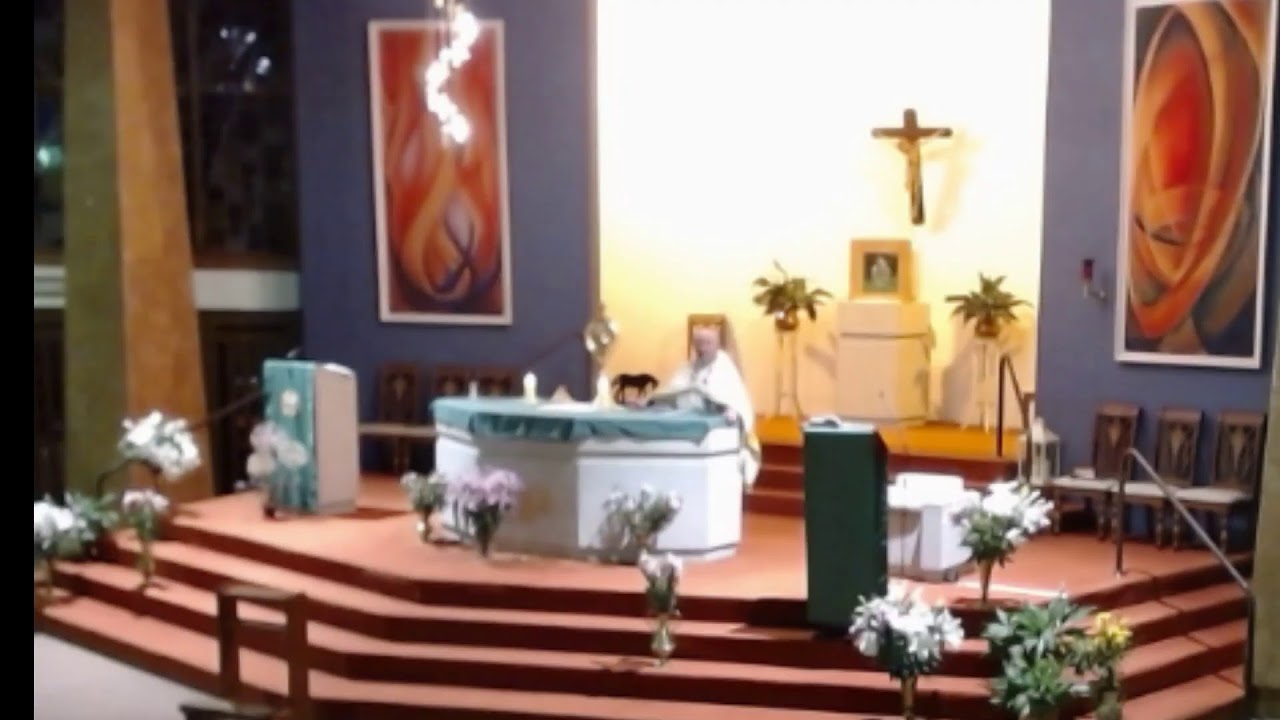 Ferns Church Live - YouTube