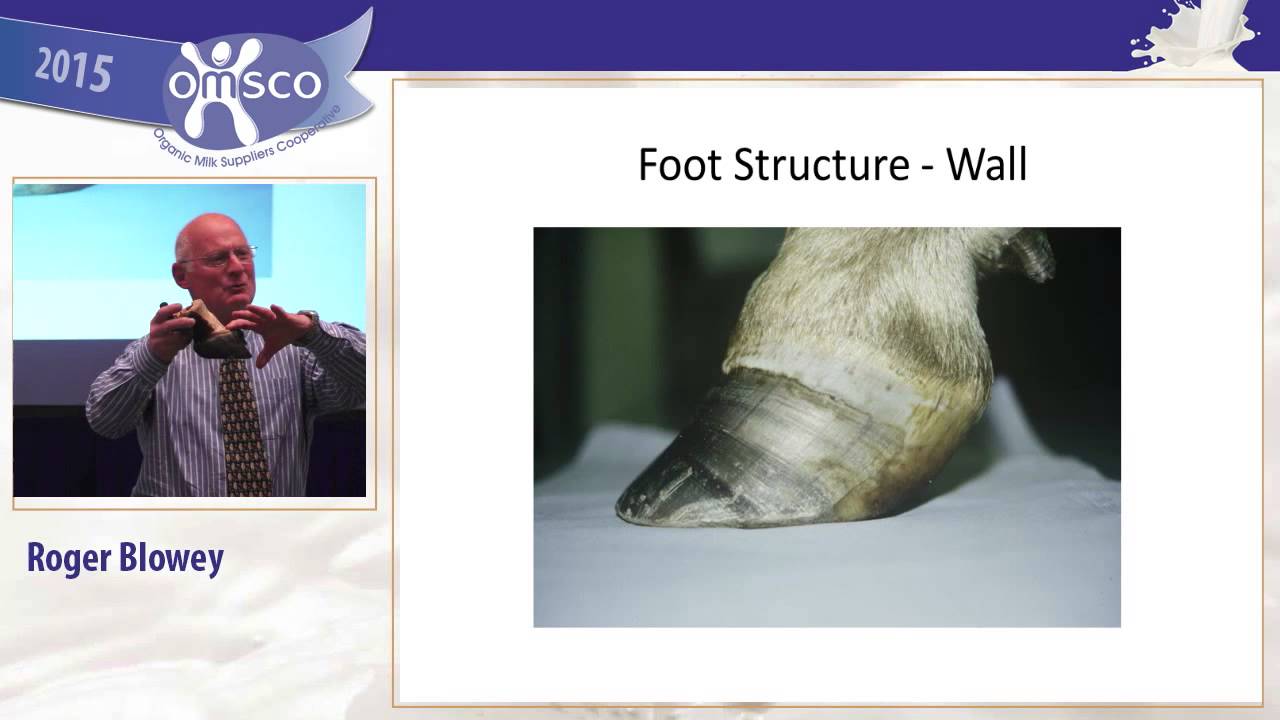 Roger Blowey HD - YouTube