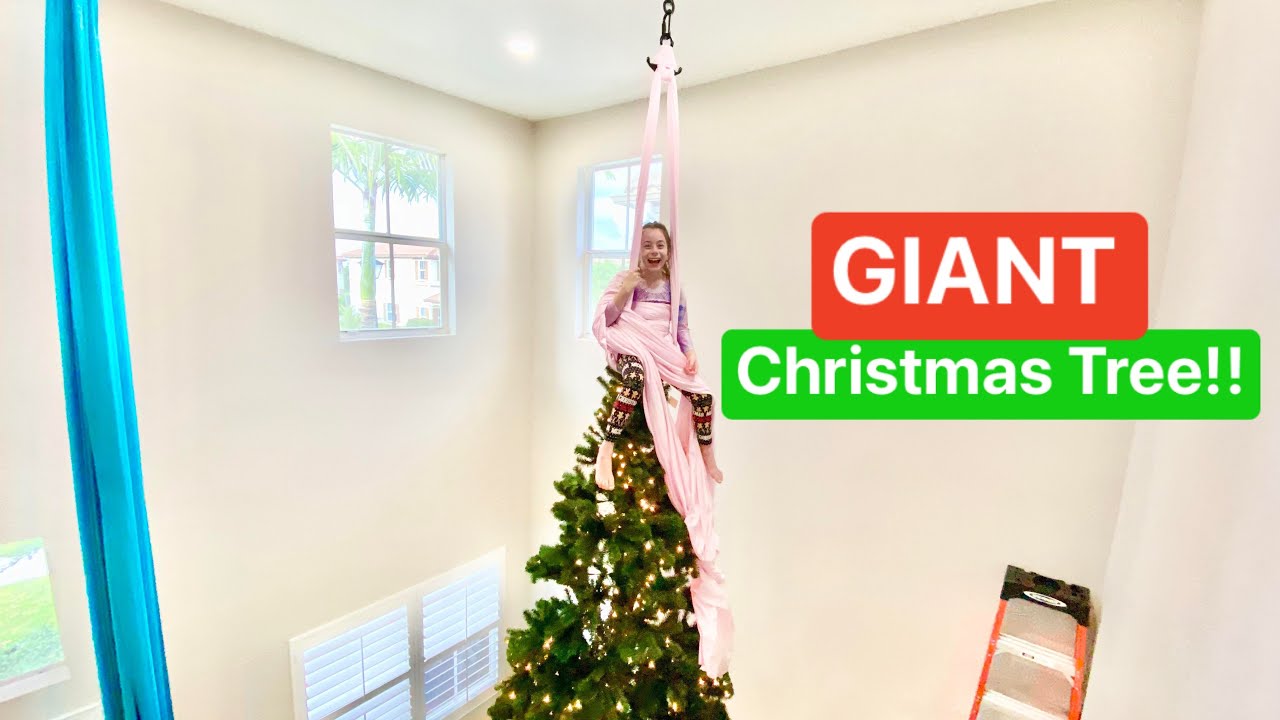 The Ultimate Christmas Tree!!😮 - YouTube