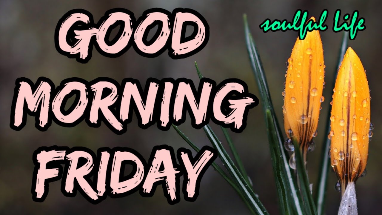 Friday Gateway to Weekend |Relaxation |Meditation |Good Morning Vibes ...