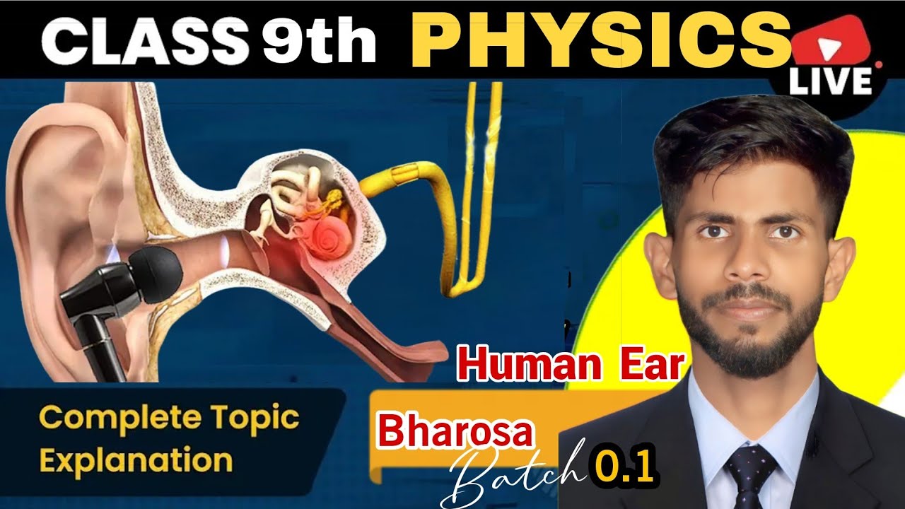 Human Ear 👂| Best Explanation| Structure and Working| Anatomy |Hindi ...