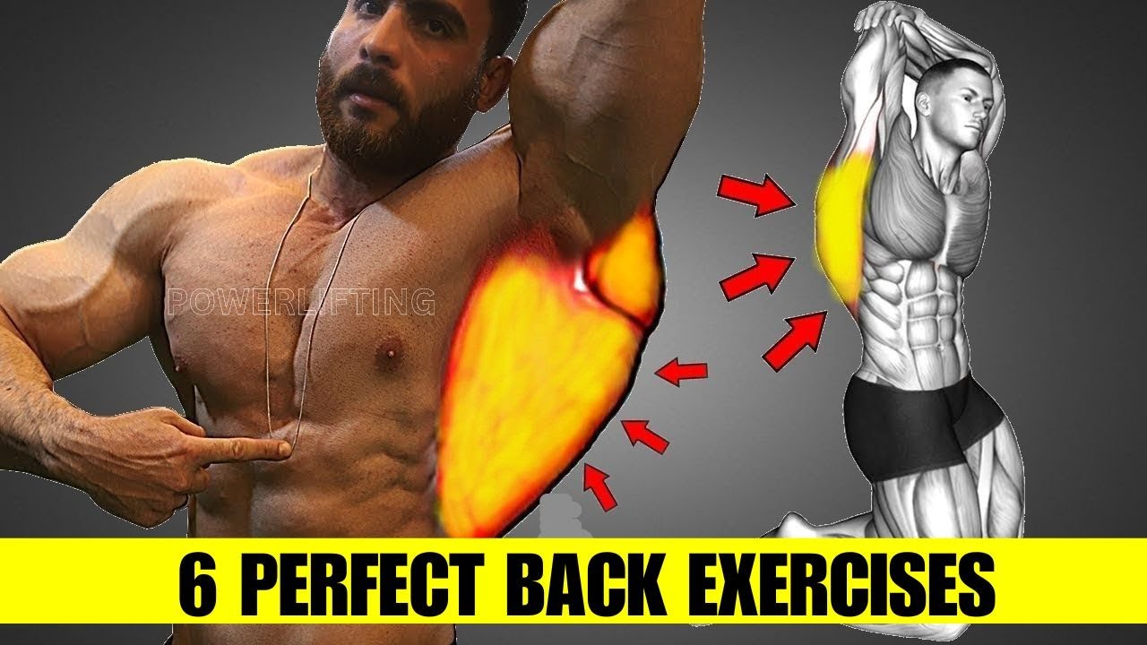 6 Super Effective Exercises for Bigger Back | Back Workout - YouTube