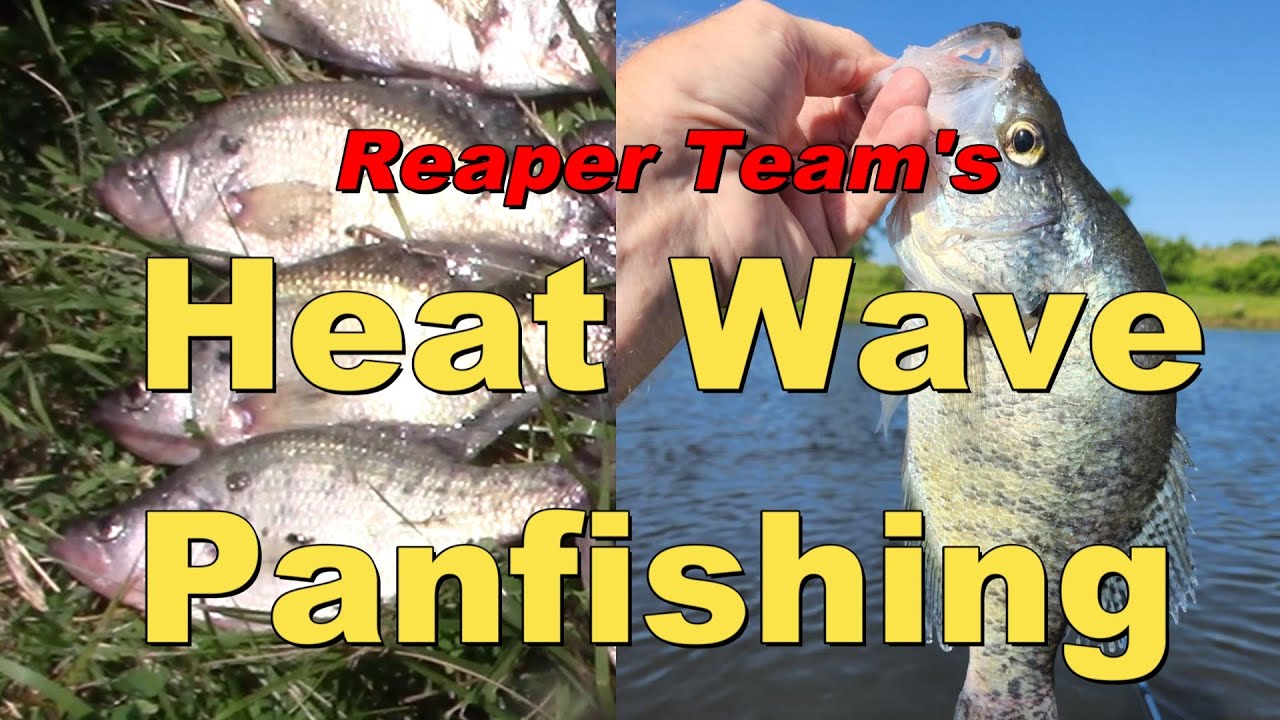 Heat Wave Panfishing (Reaper Team) Crappie and Bluegill - YouTube