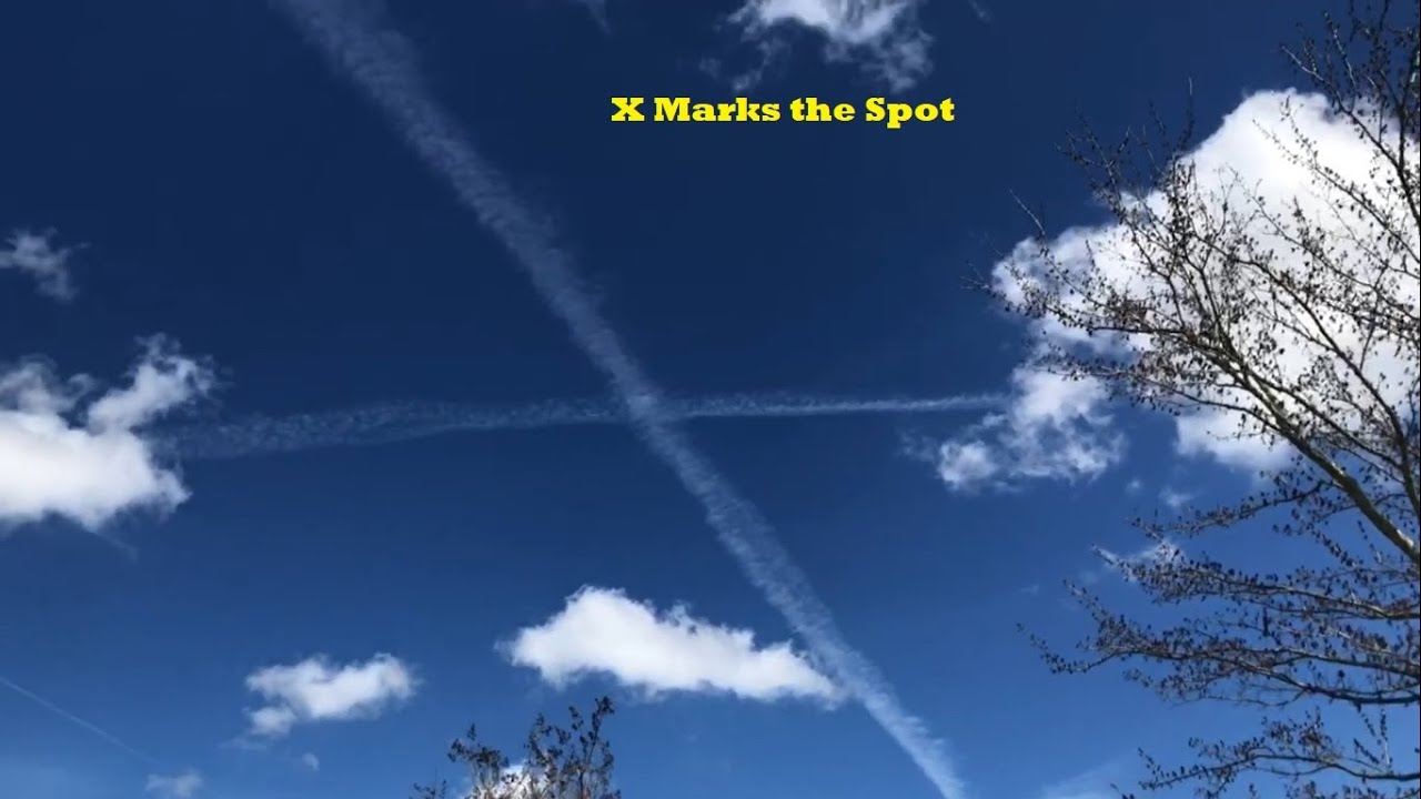 X MARKS THE SPOT - FORECAST RAIN IS COMING SKY DRAGONS, SEAHORSES, AND ...