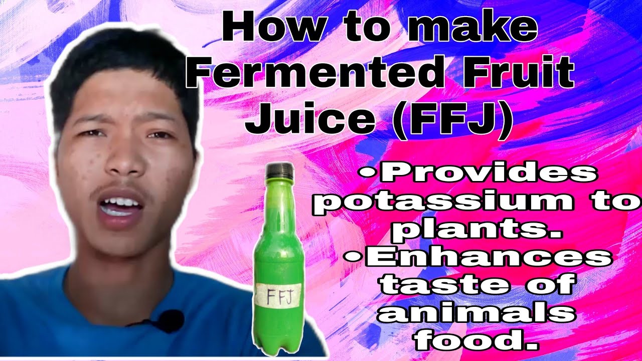 Step by step: How to make Fermented Fruit Juice (FFJ)#organicconcoction ...