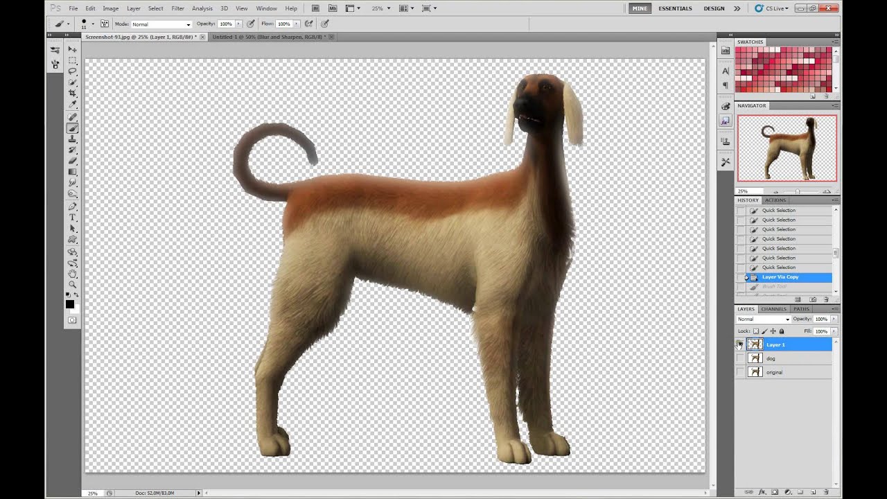 Dog Editing 101 in Photoshop - YouTube