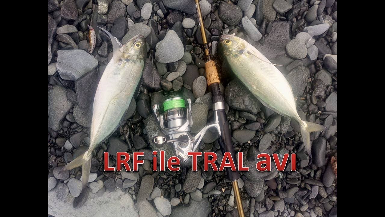 LRF ile TRAL avı - YouTube