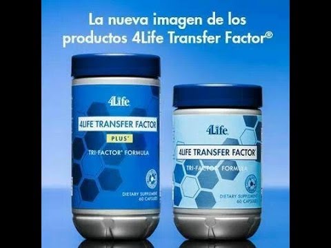 Nuevo 4Life Transfer Factor Certificado lanzado en la convención vive ...