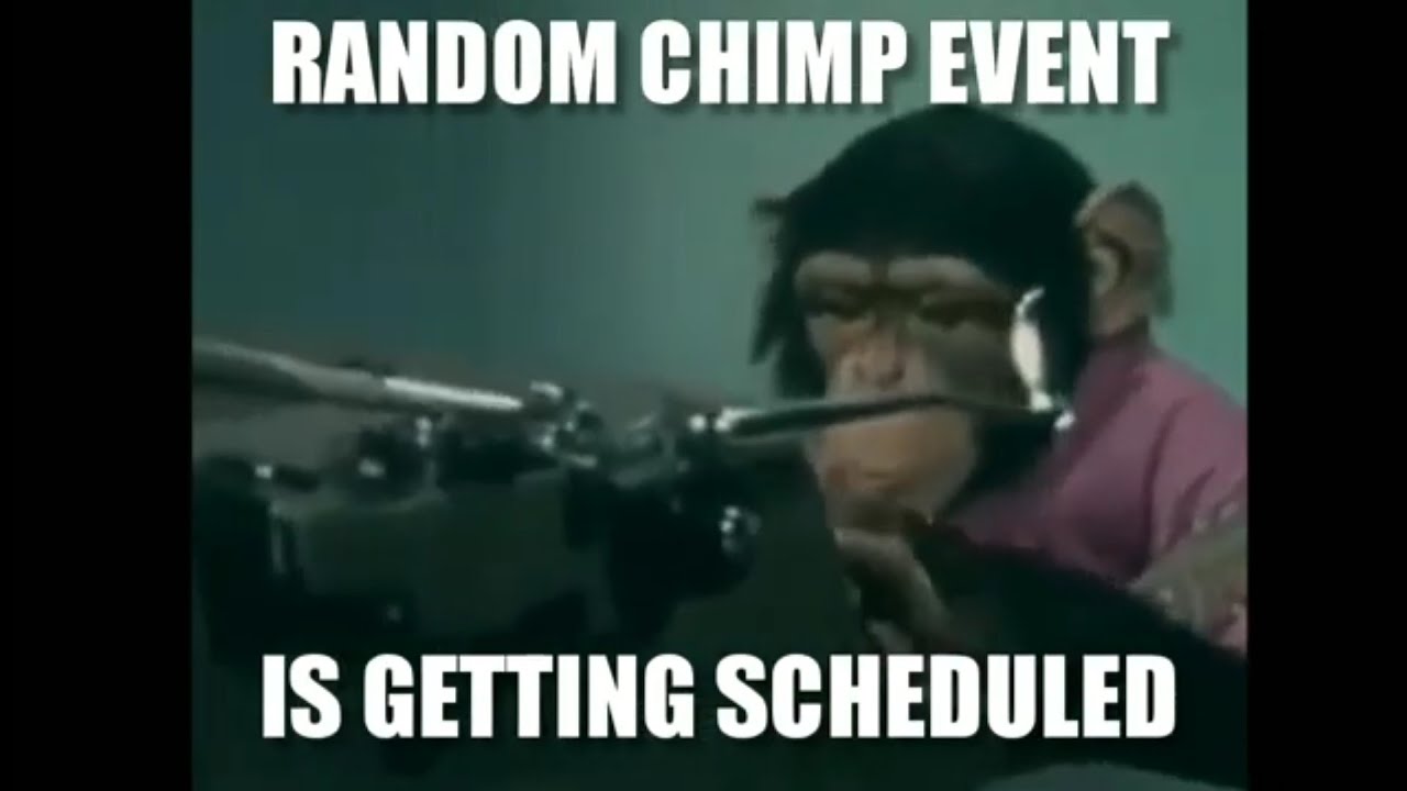 Random Chimp Event - YouTube
