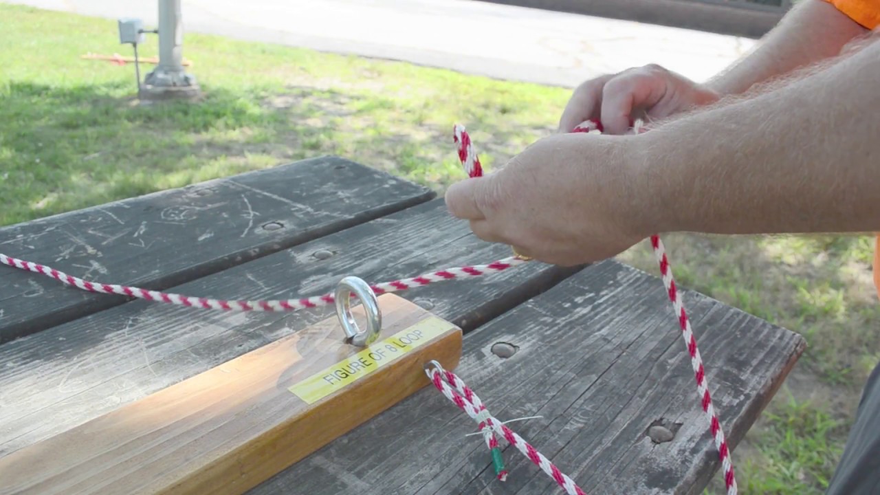 How To Tie A Figure Of 8 Loop - YouTube