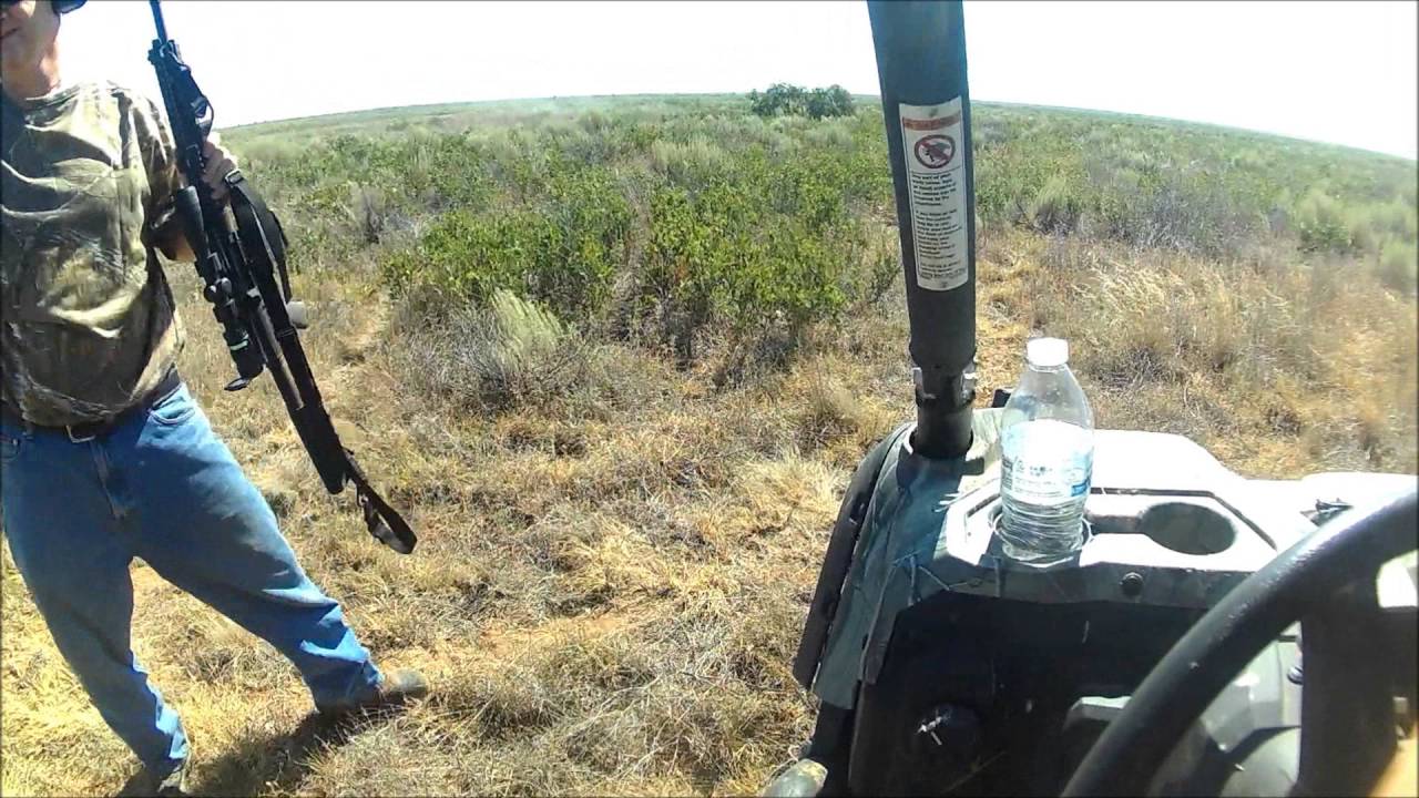 Wild Hogs - TNT Hunting - YouTube