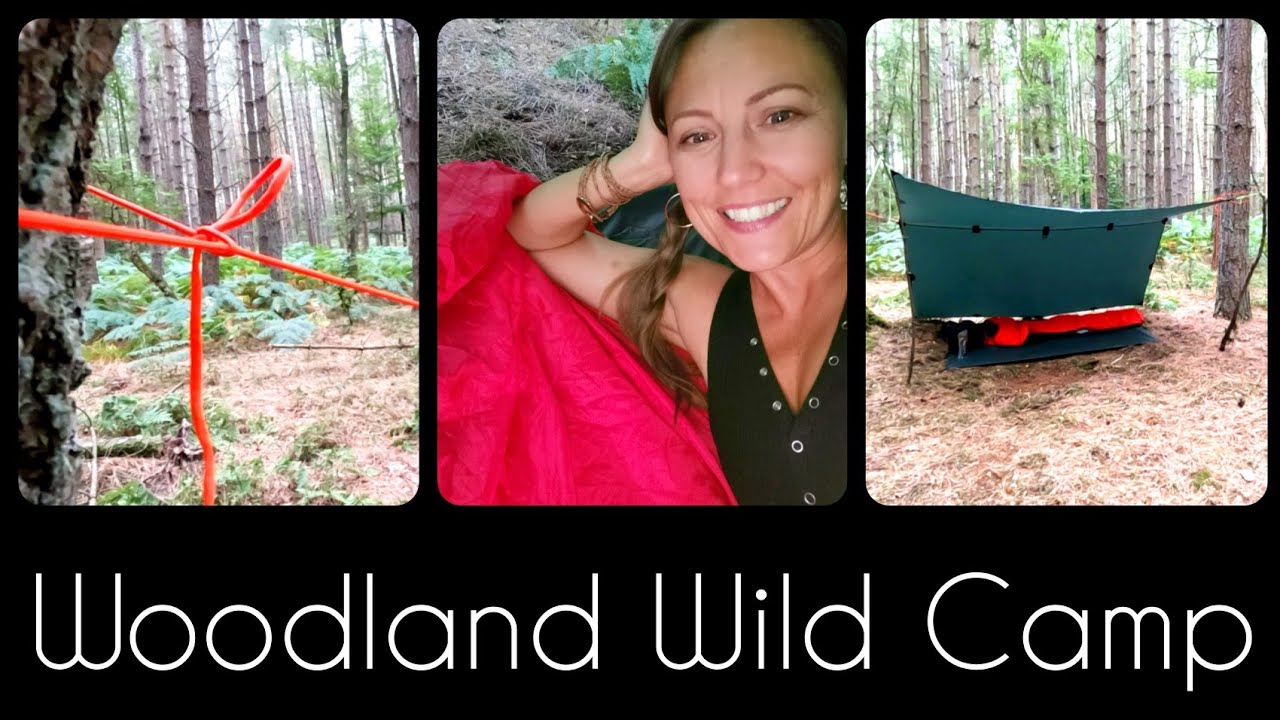 Relaxed Woodland Wild Camp with the DD Lightweight Tarp - YouTube